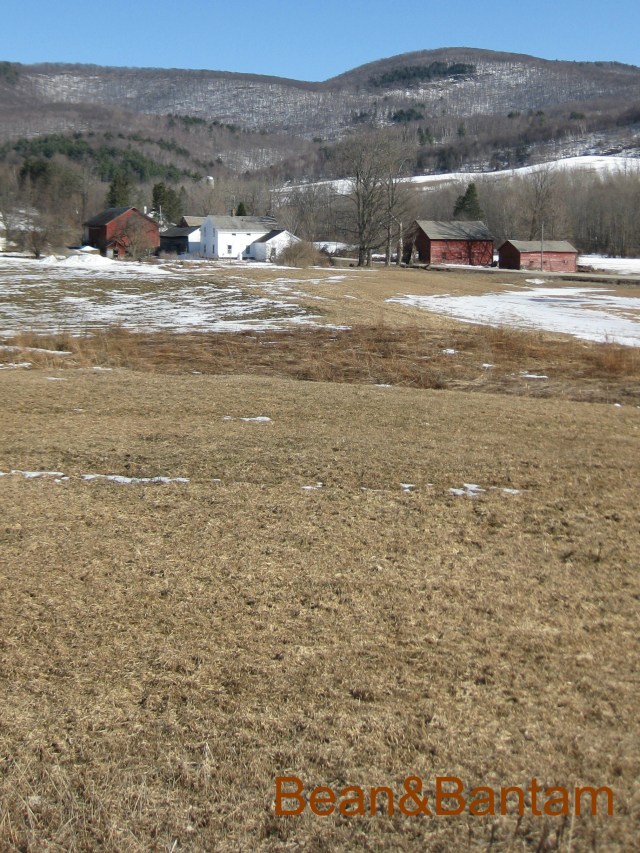 A Sunday Walk in Vermont – BEAN & BANTAM