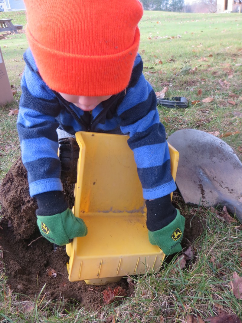 Planting 1,ooo bulbs at a time – BEAN & BANTAM